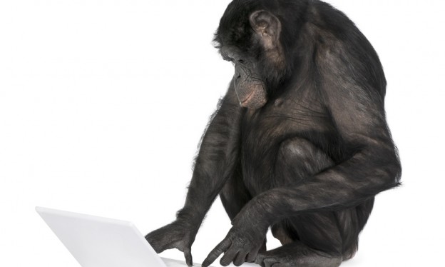 chimp on computer | 6-12