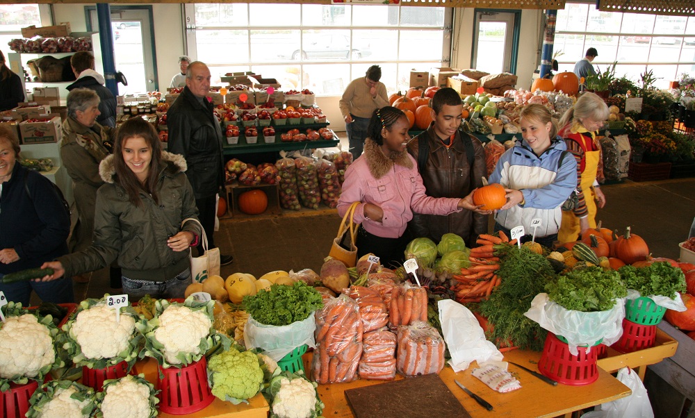 Faisons les courses | FYI French